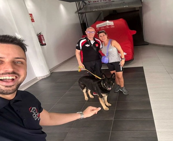 Nissan Farray Motor - Farray Motor